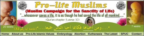 Birth Control, Family Planning and Abortion in the Muslim World ...
